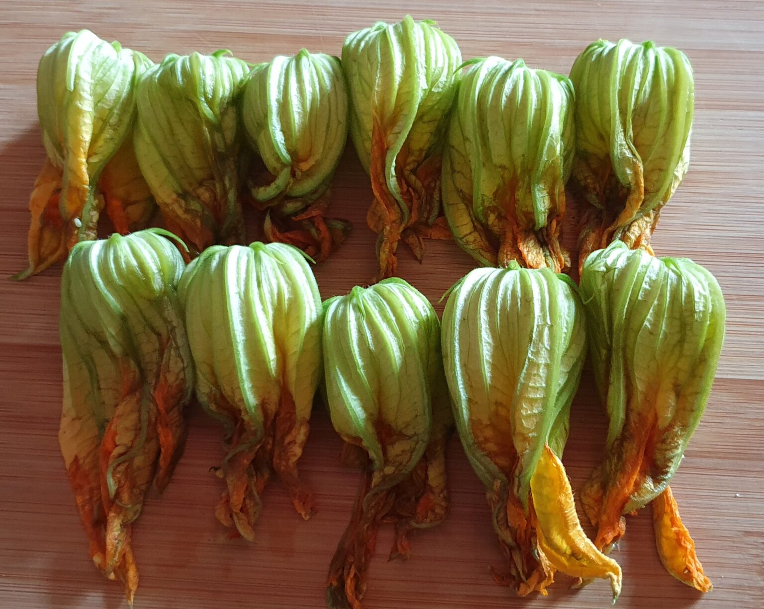 Fiori di zucca "sciurilli" ripieni pastellati e fritti - Cucina ...